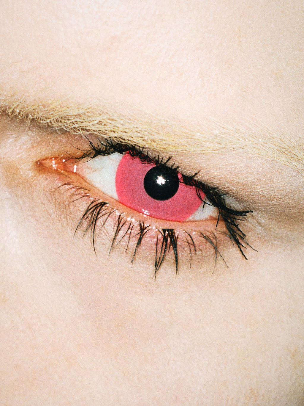 SICKY — Fallen Angel